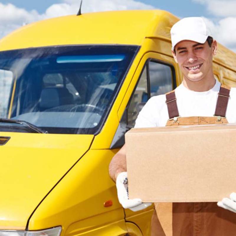 Daily Speed Global Limited. - Courier Service & Logistics Delivery Company